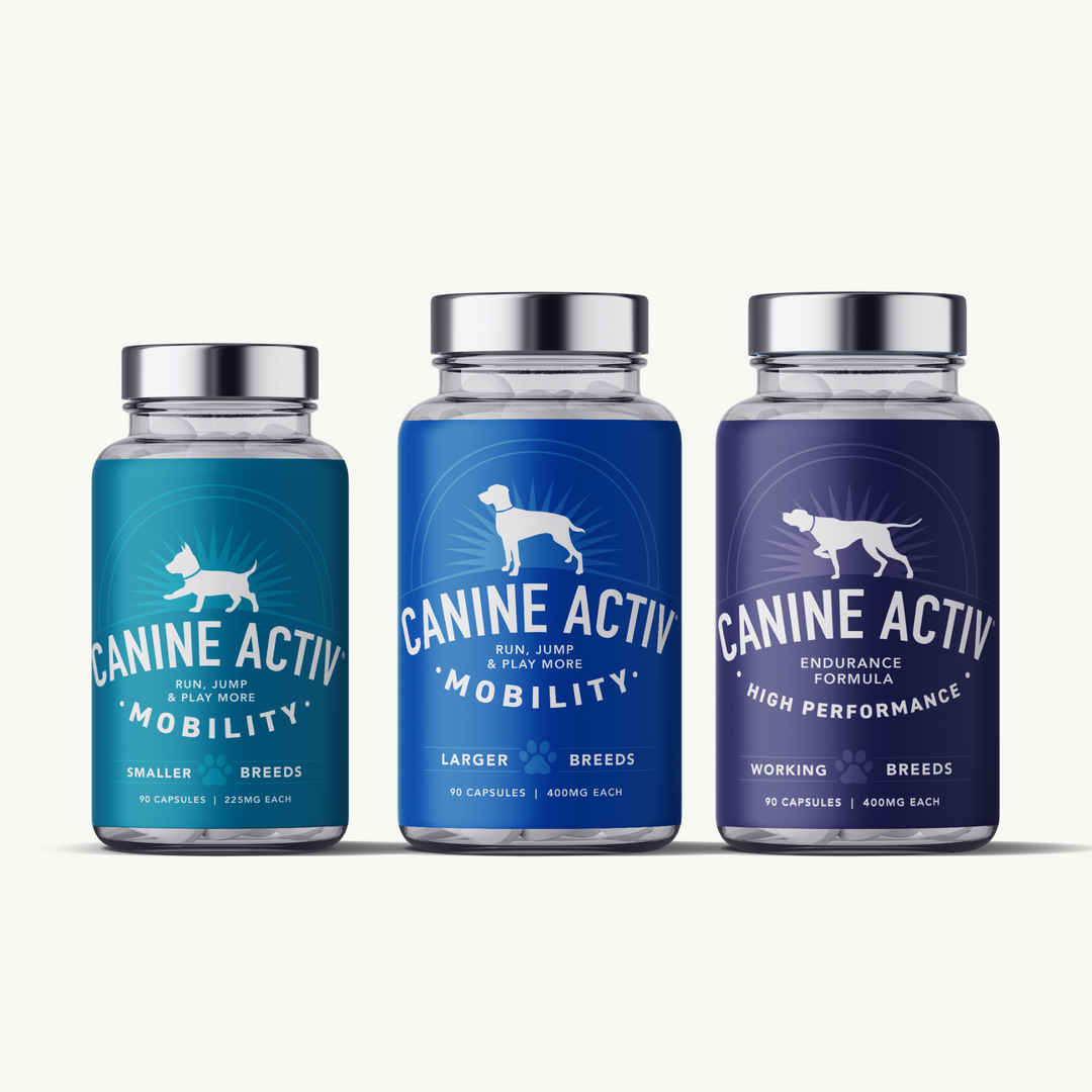 Canine Activ – Vireo Systems